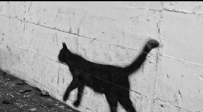 Alley Jazz Cat · DJ Andre Tejeda | HelpfulSubjects